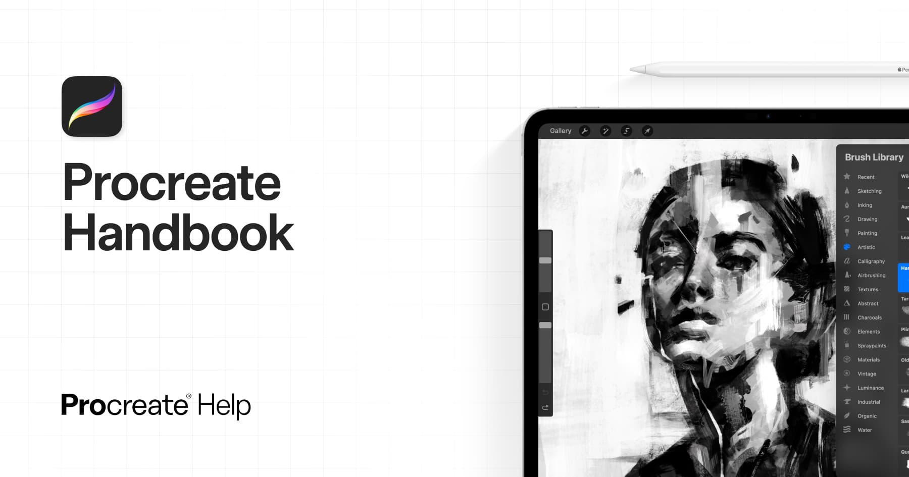 Drawing Guides and Assistance — Procreate Handbook